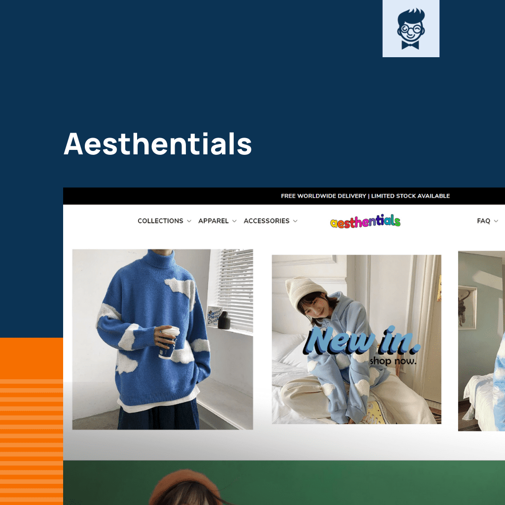 50+ Best Dropshipping Websites Examples That Will Blow Your Mind - BrandBoy