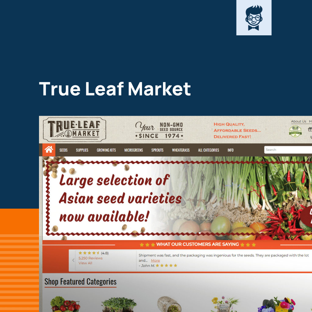 50 Creative Food Website Designs For Your Inspiration