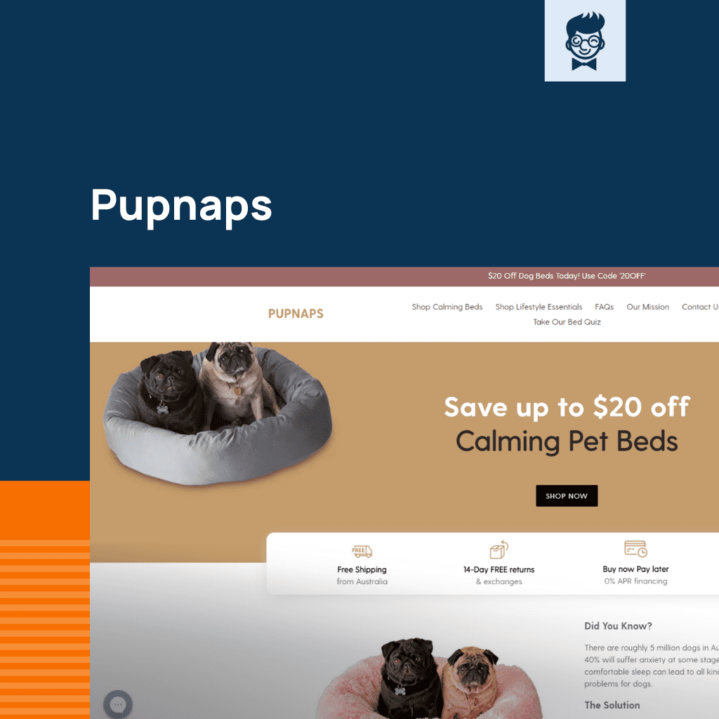 50+ Best Pet Website Design Examples That Will Inspire You - BrandBoy