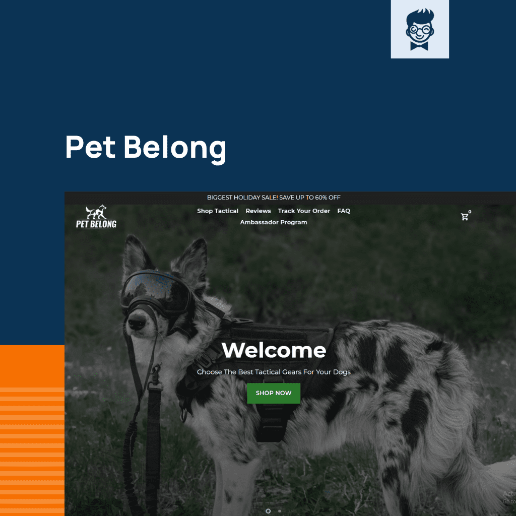 50+ Best Pet Website Design Examples That Will Inspire You - BrandBoy