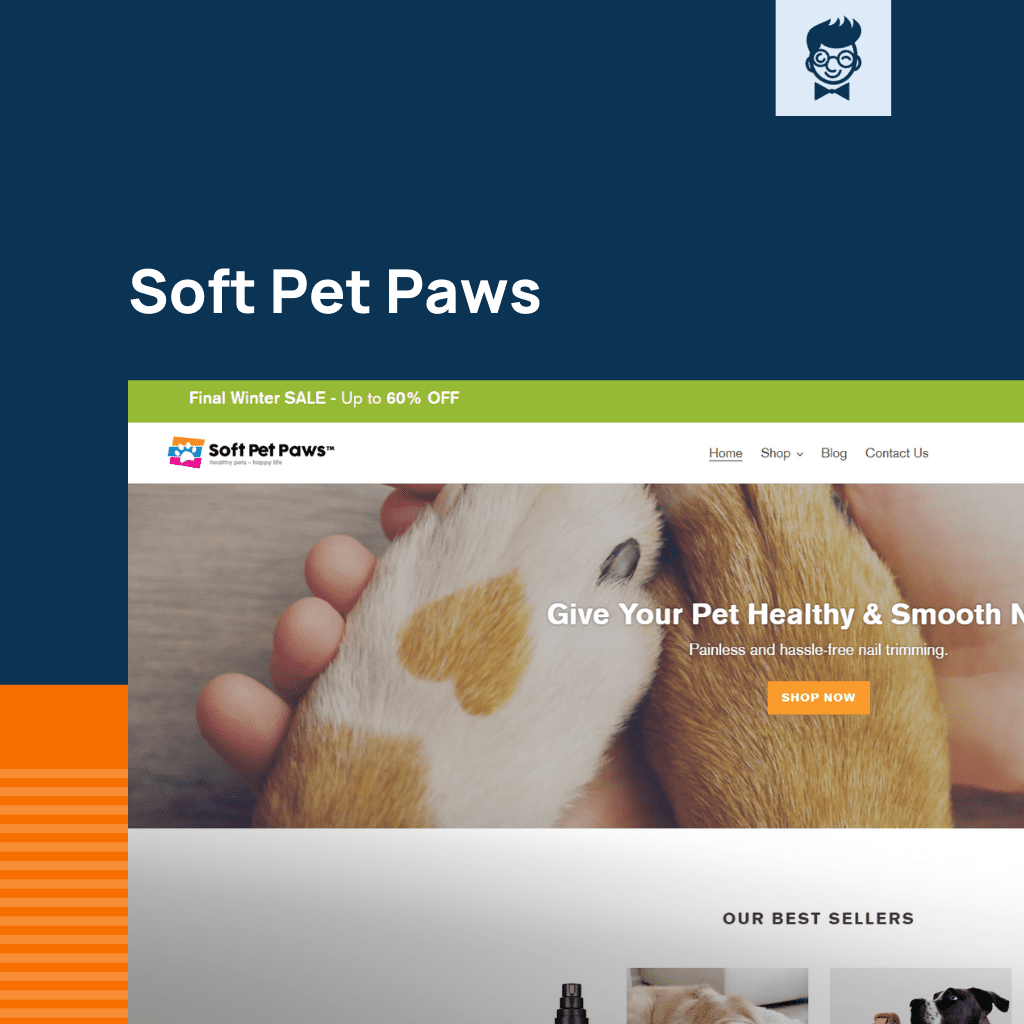 50+ Best Pet Website Design Examples That Will Inspire You - BrandBoy