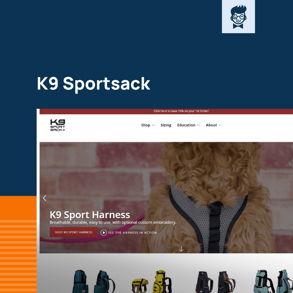 50+ Best Pet Website Design Examples That Will Inspire You - BrandBoy