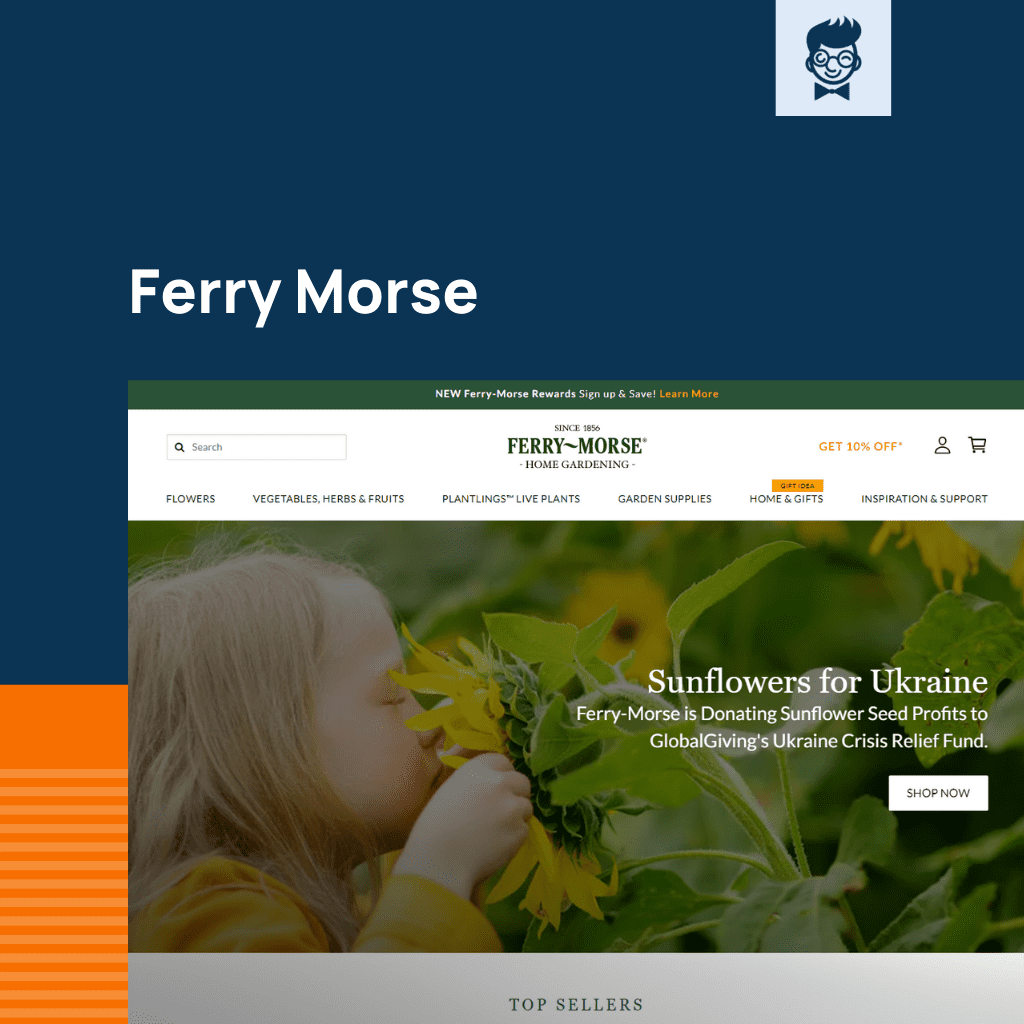 50 Best Florist Website Design Examples That Will Wow You