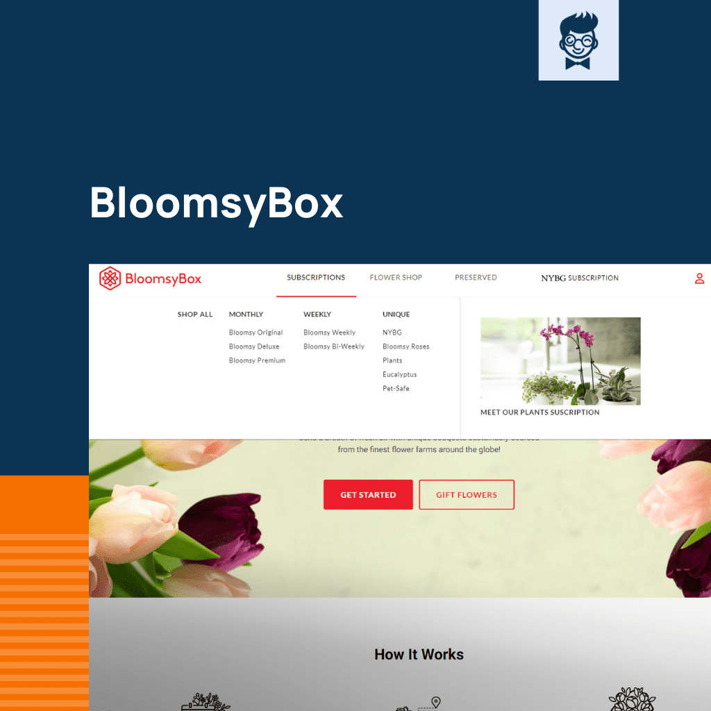 50 Best Florist Website Design Examples That Will Wow You