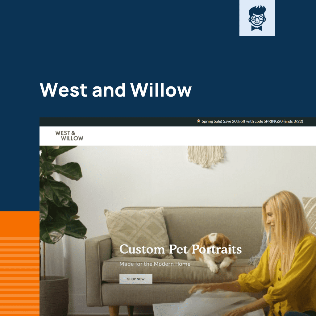 50+ Best Pet Website Design Examples That Will Inspire You - BrandBoy