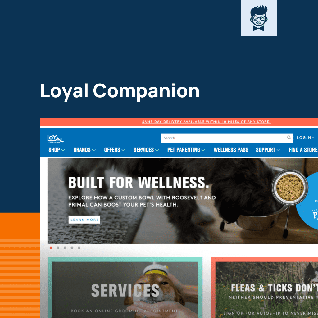 50+ Best Pet Website Design Examples That Will Inspire You - BrandBoy