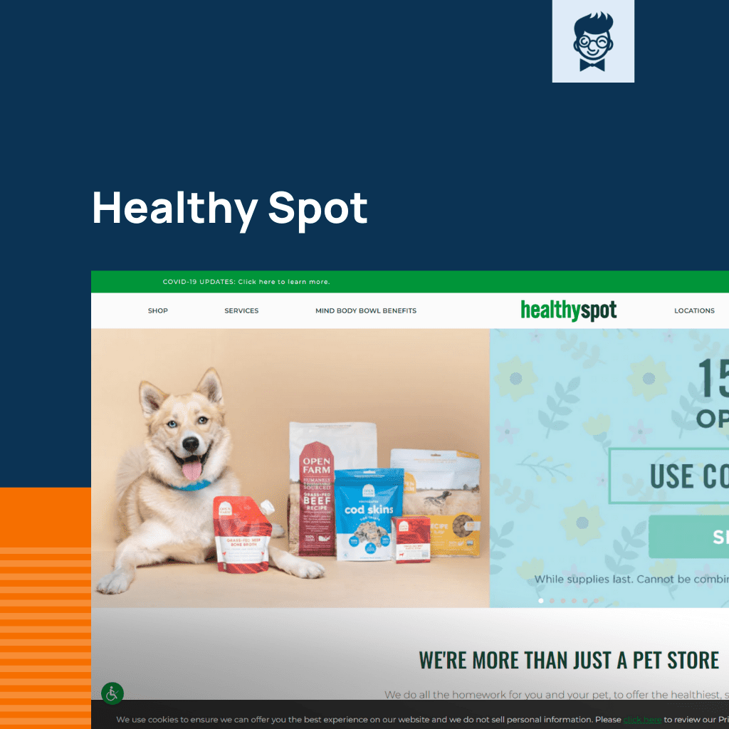 50+ Best Pet Website Design Examples That Will Inspire You - BrandBoy