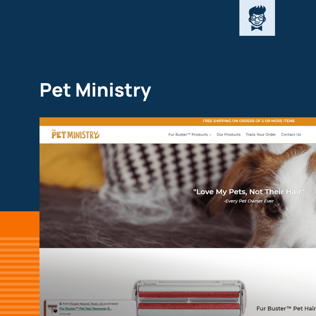 50+ Best Pet Website Design Examples That Will Inspire You - BrandBoy
