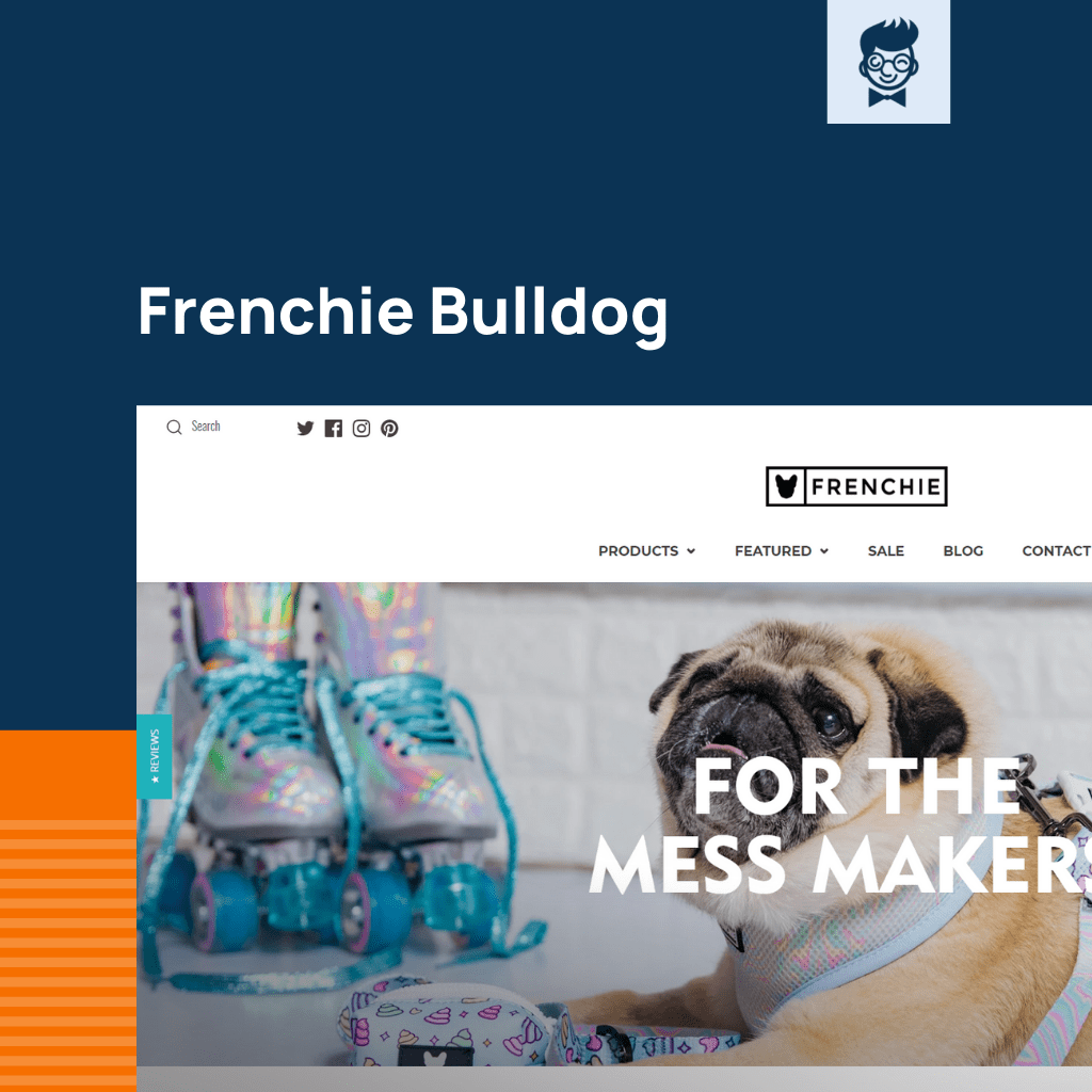 50+ Best Pet Website Design Examples That Will Inspire You - BrandBoy