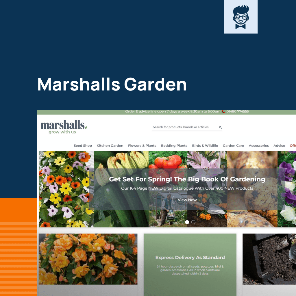 50 Best Florist Website Design Examples That Will Wow You