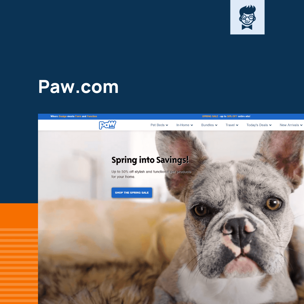 50+ Best Pet Website Design Examples That Will Inspire You - BrandBoy
