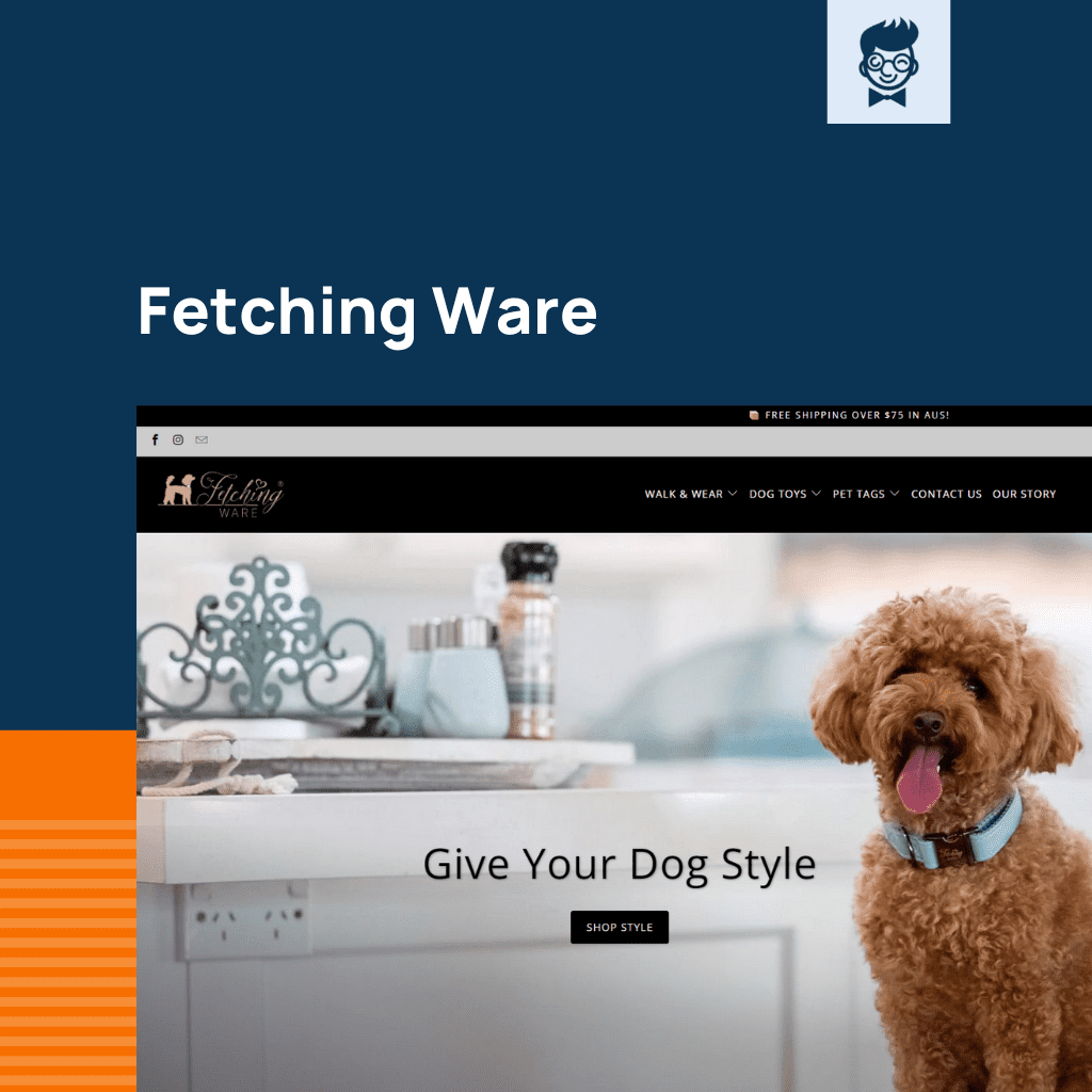 50+ Best Pet Website Design Examples That Will Inspire You - BrandBoy