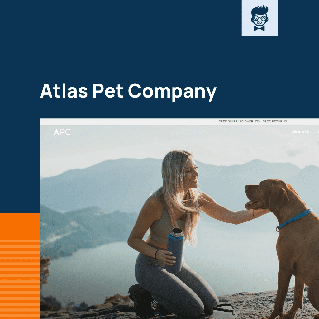 50+ Best Pet Website Design Examples That Will Inspire You - BrandBoy