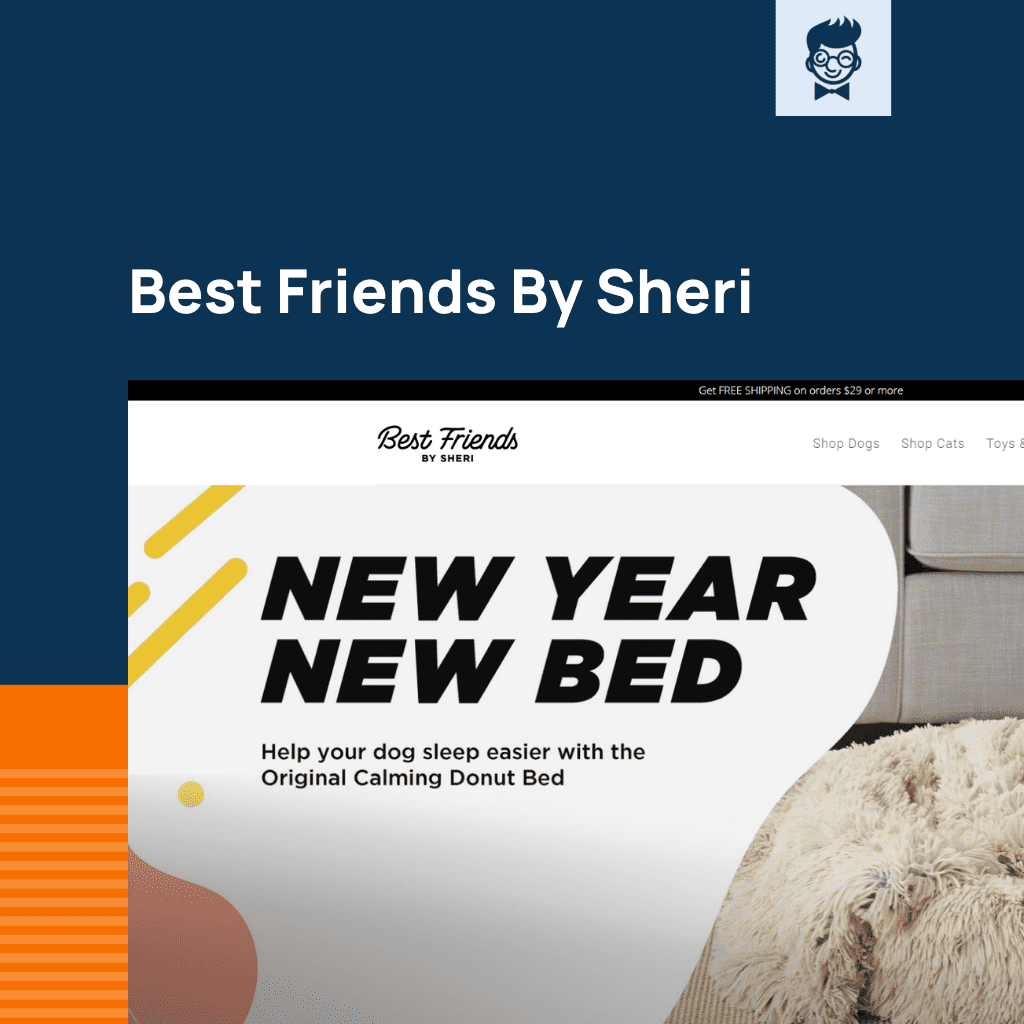 50+ Best Pet Website Design Examples That Will Inspire You - BrandBoy