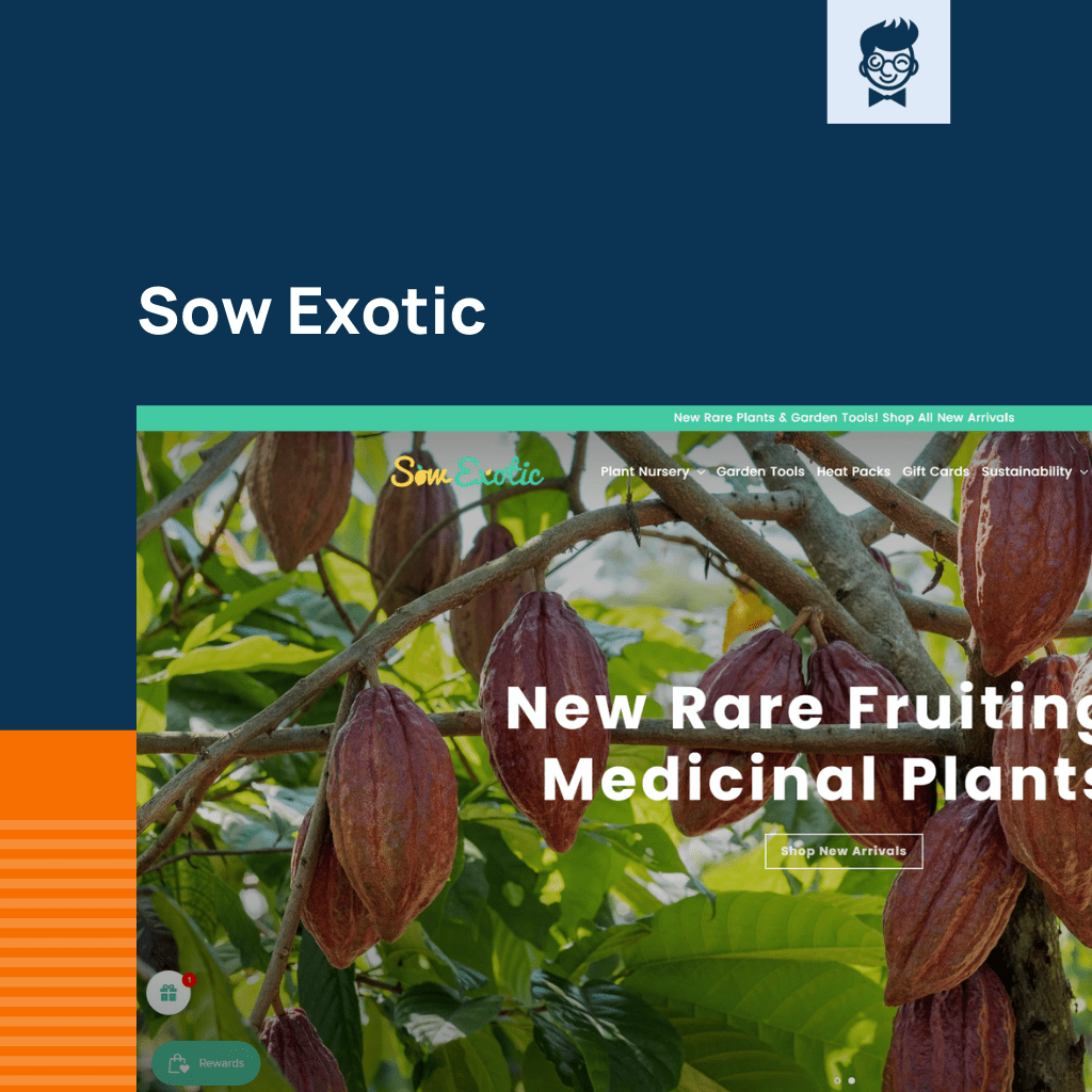 50+ Best Pharmacy Website Design Examples - BrandBoy