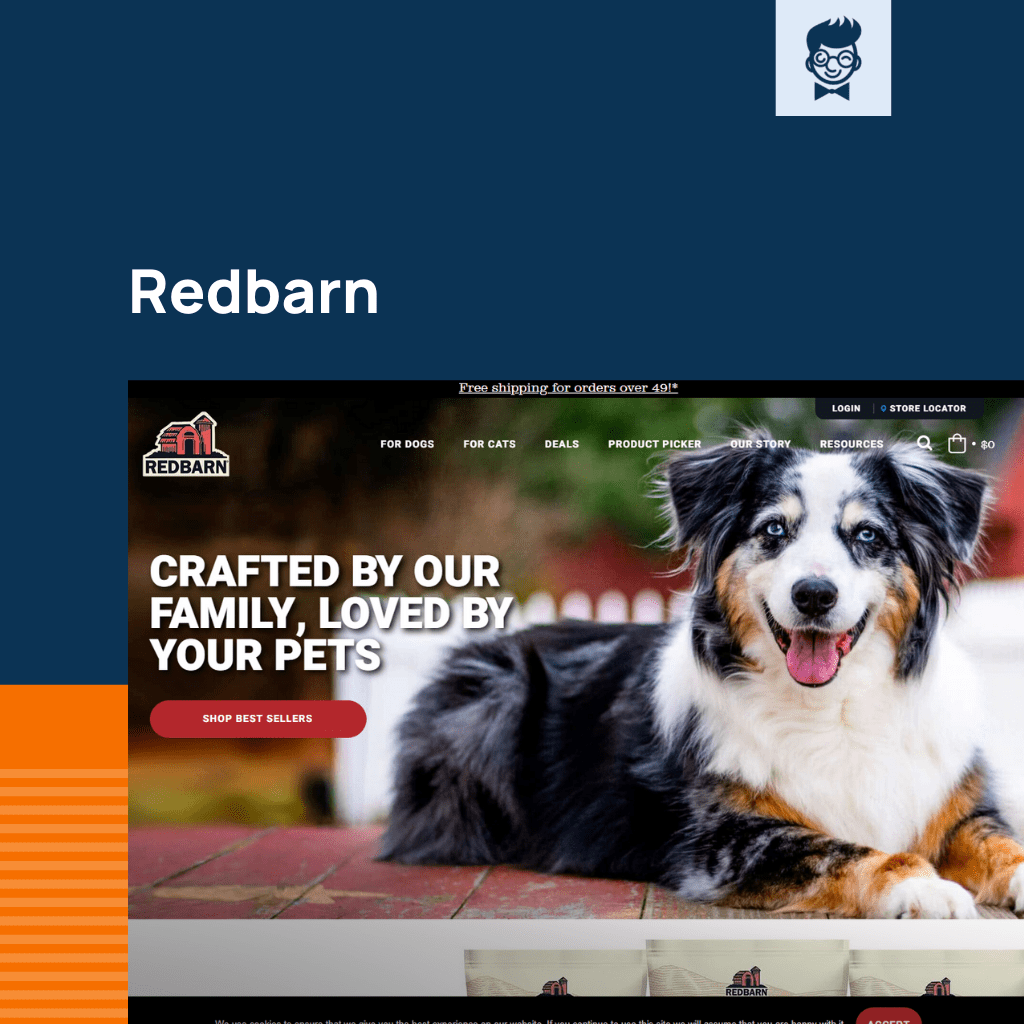 50+ Best Pet Website Design Examples That Will Inspire You - BrandBoy