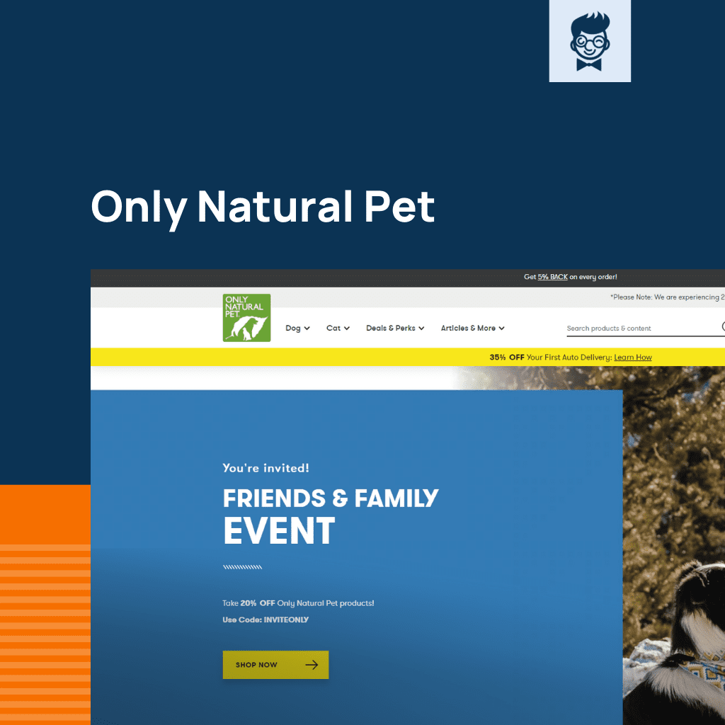 50+ Best Pet Website Design Examples That Will Inspire You - BrandBoy