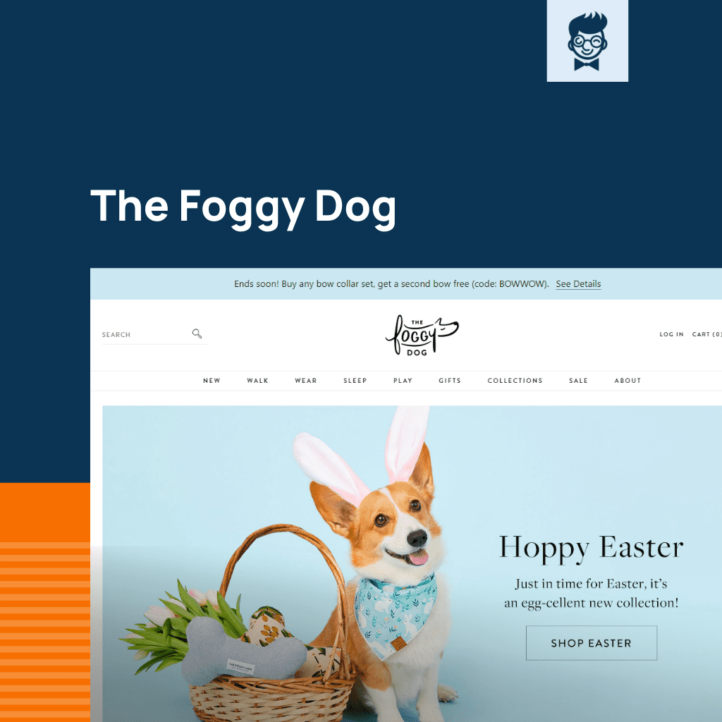 50+ Best Pet Website Design Examples That Will Inspire You - BrandBoy
