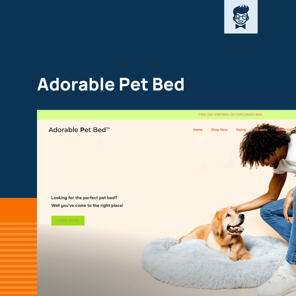 50+ Best Pet Website Design Examples That Will Inspire You - BrandBoy