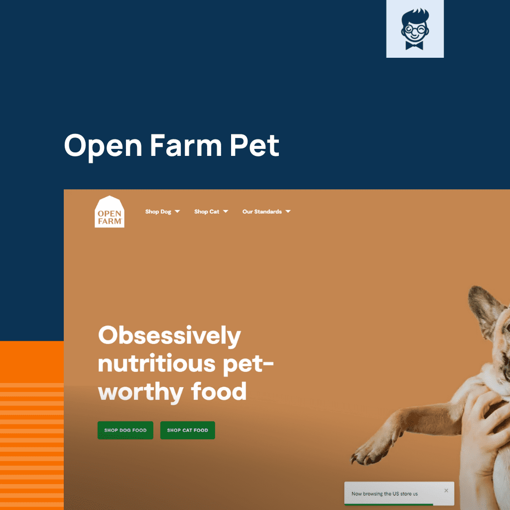 50+ Best Pet Website Design Examples That Will Inspire You - BrandBoy