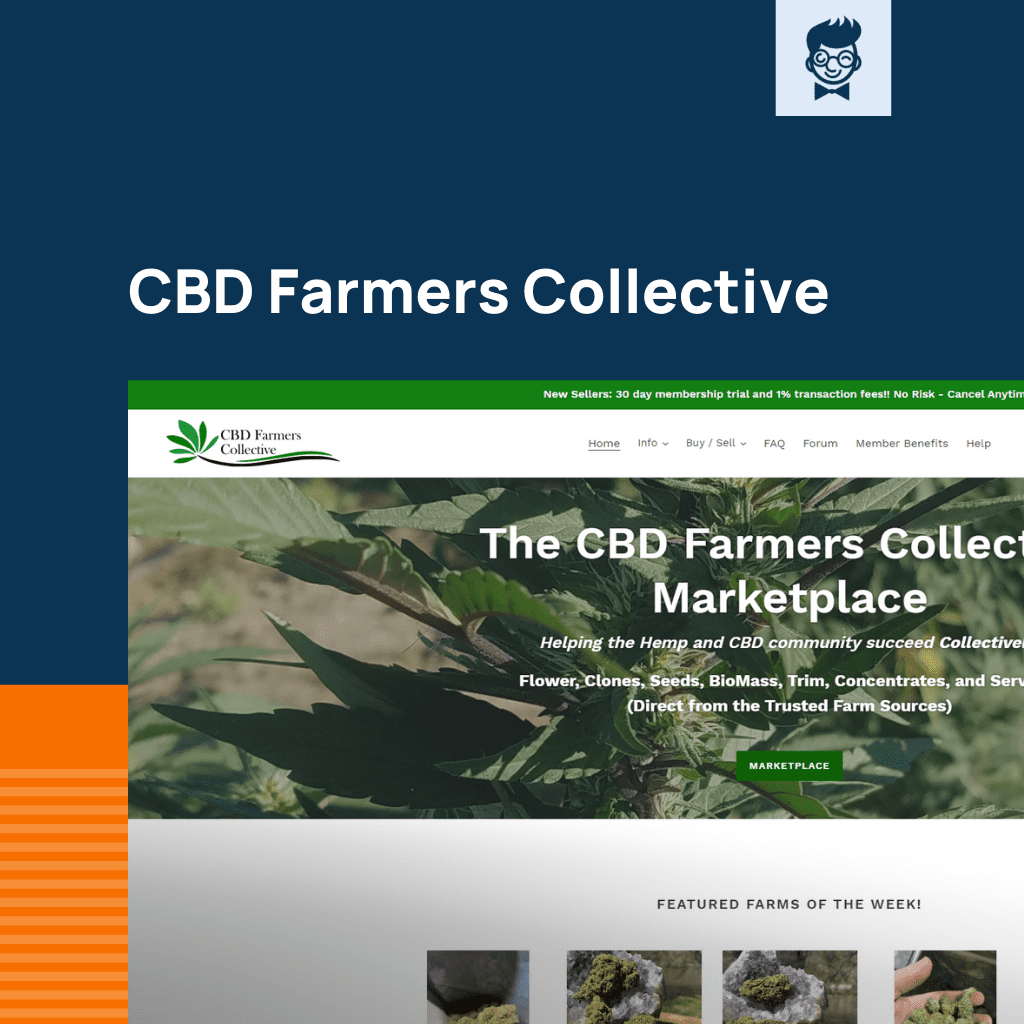 50+ Best CBD Website Design Examples: Inspiring Layouts - TheMktgboy