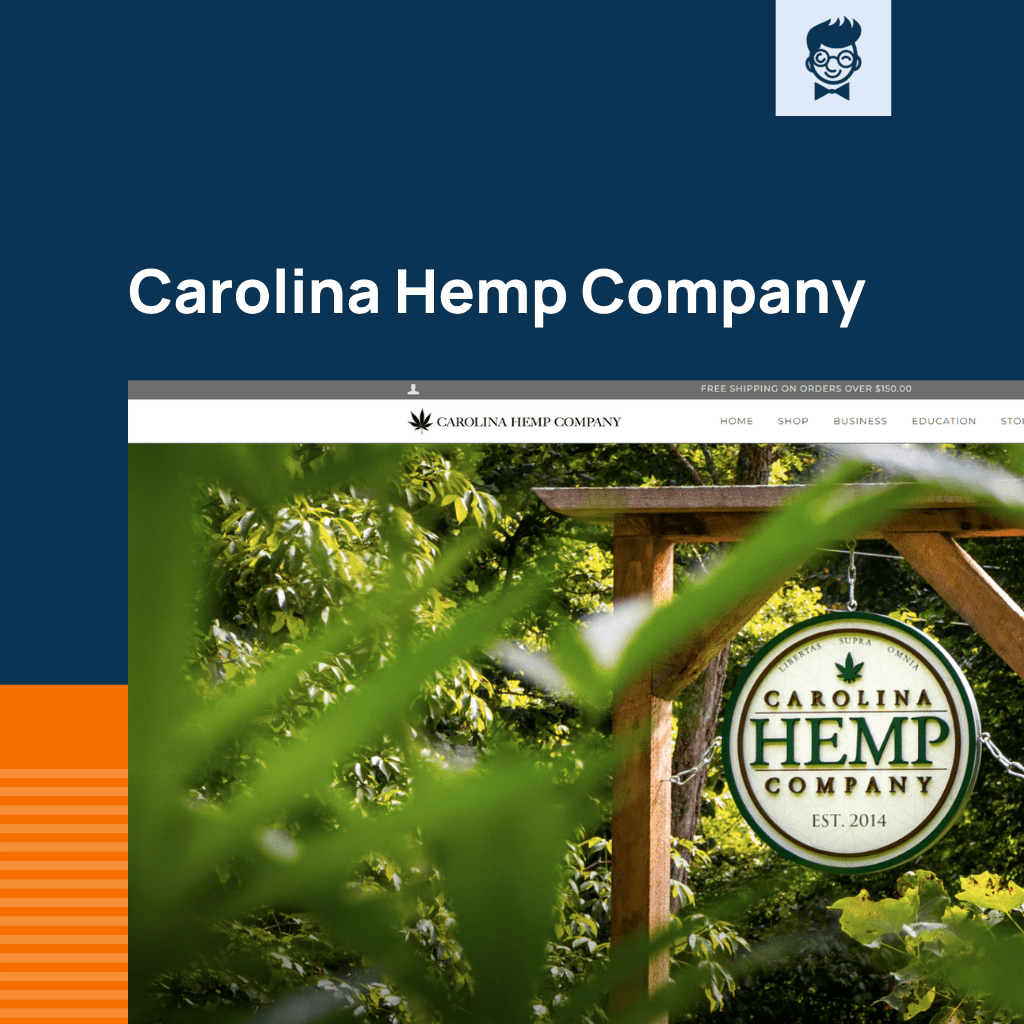 50+ Best CBD Website Design Examples: Inspiring Layouts - TheMktgboy