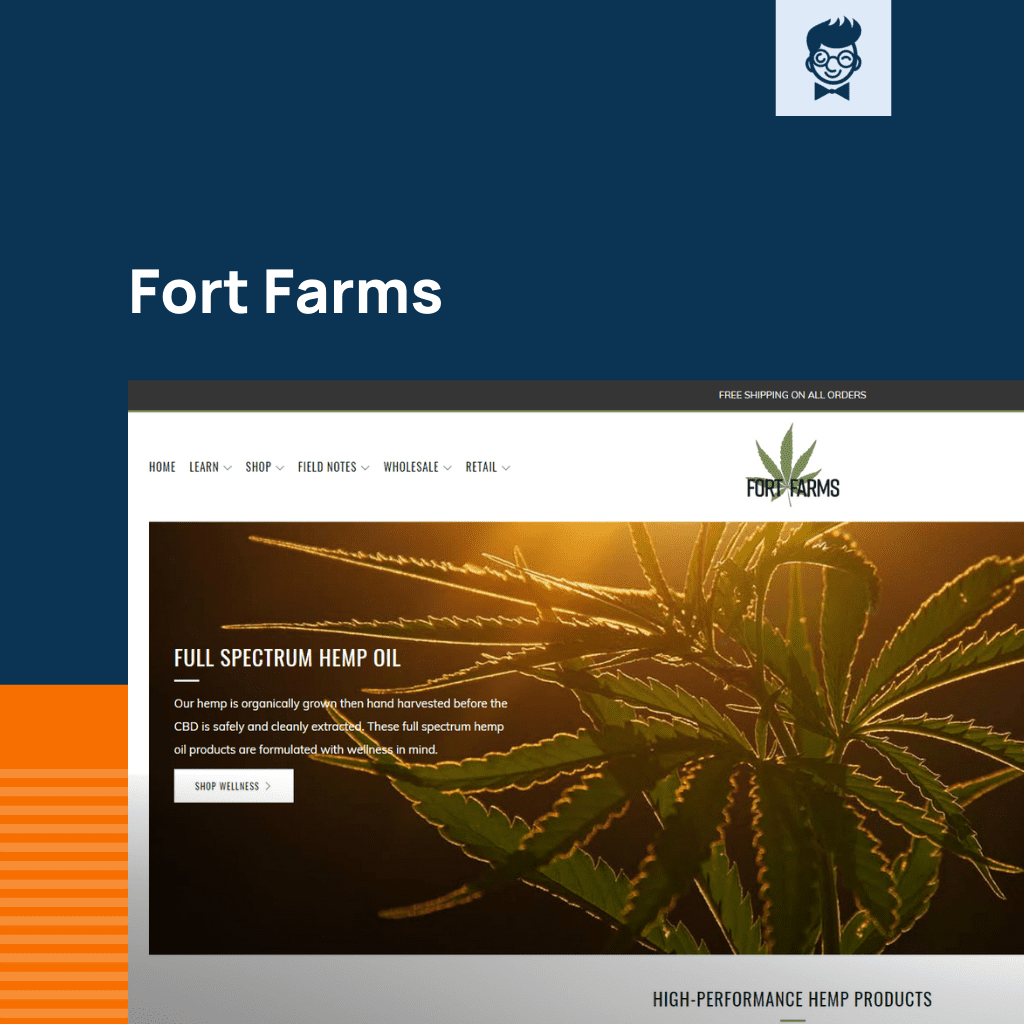 50+ Best CBD Website Design Examples: Inspiring Layouts - TheMktgboy