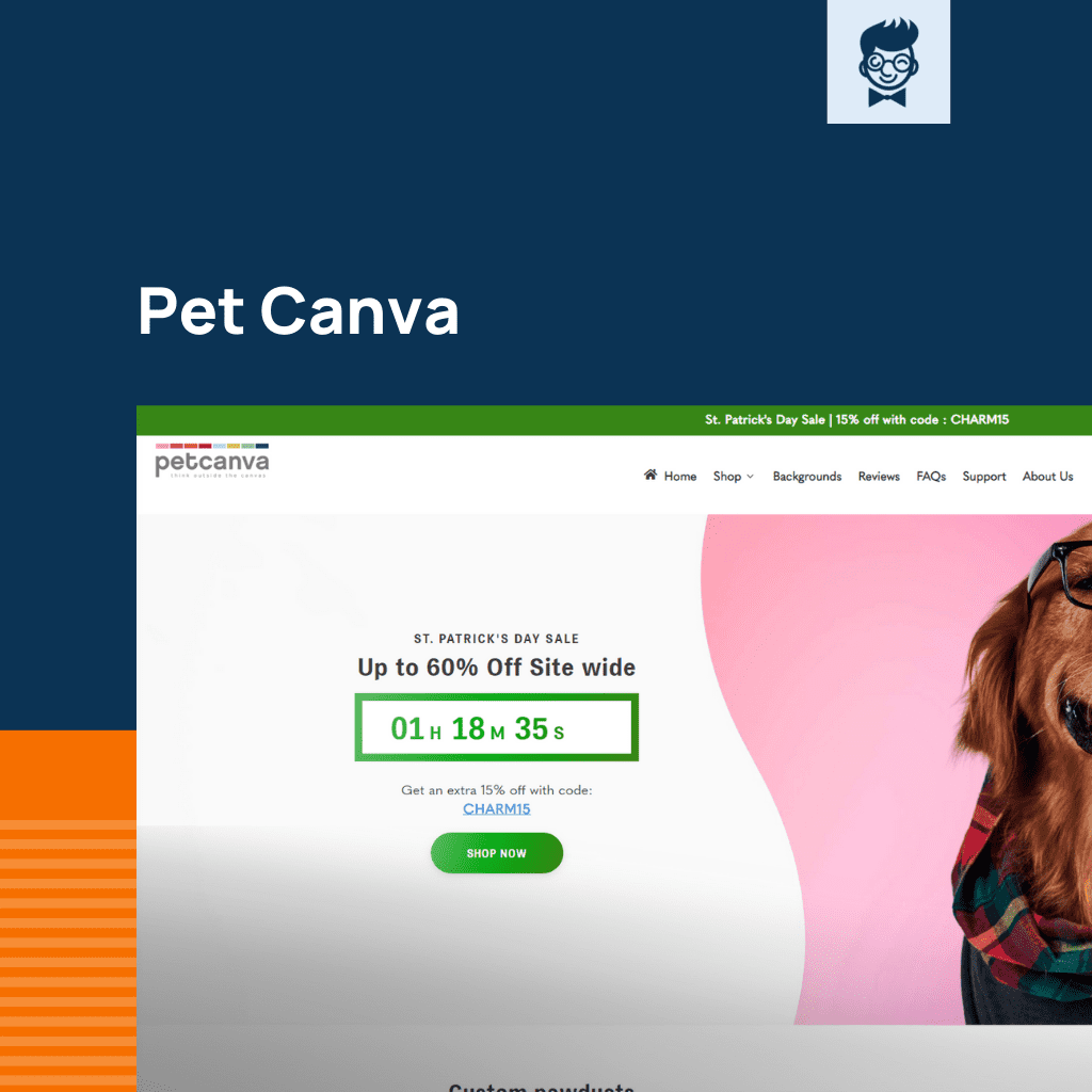 50+ Best Pet Website Design Examples That Will Inspire You - BrandBoy