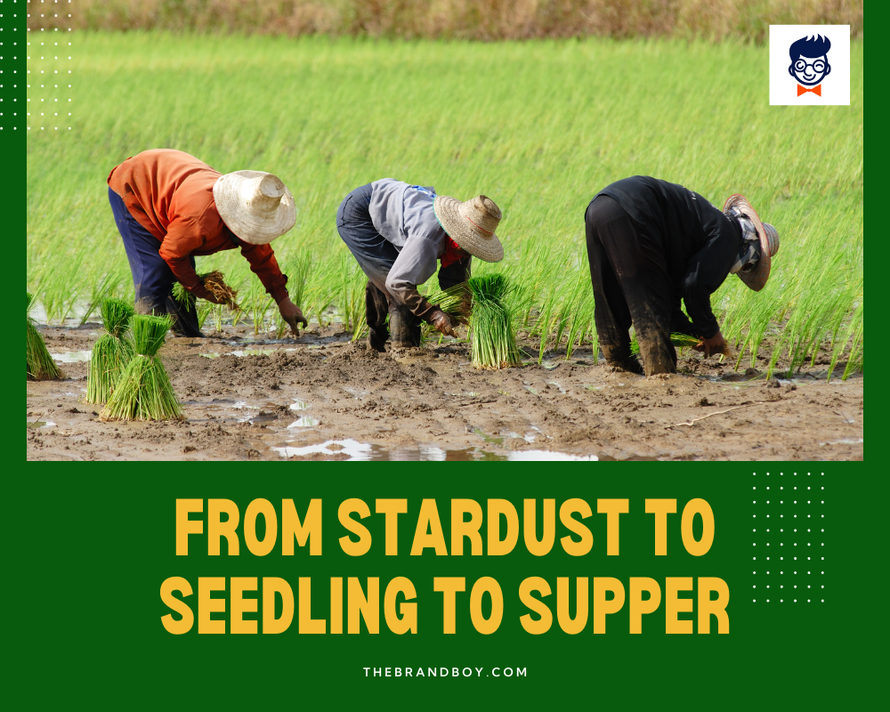 905+ Catchy Farming Slogans Collection - TheBrandBoy.com