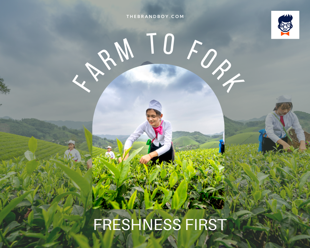 905+ Catchy Farming Slogans Collection - TheBrandBoy.com