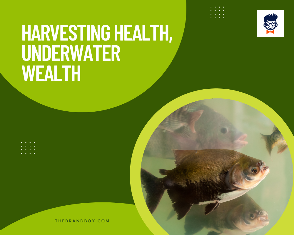 905+ Catchy Farming Slogans Collection - TheBrandBoy.com