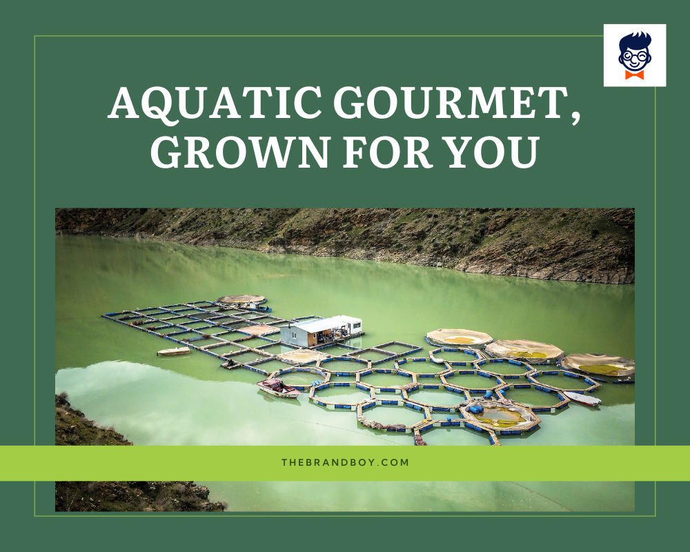 905+ Catchy Farming Slogans Collection - TheBrandBoy.com