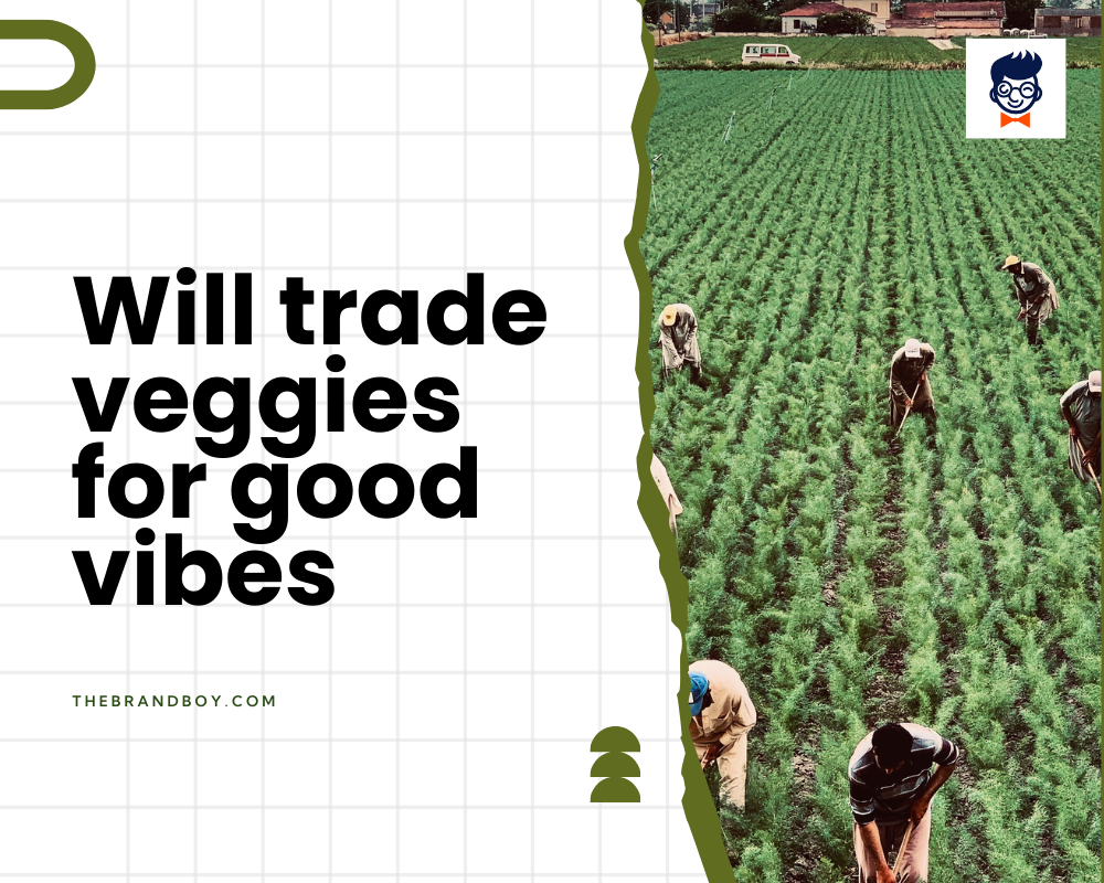 905+ Catchy Farming Slogans Collection - TheBrandBoy.com