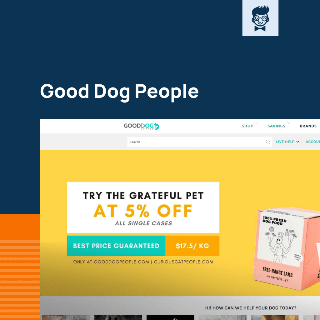 50+ Best Pet Website Design Examples That Will Inspire You - BrandBoy