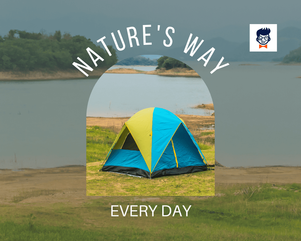 781+ Best Camping Slogans to Boost Your Outdoor Business! - thebrandboy.com