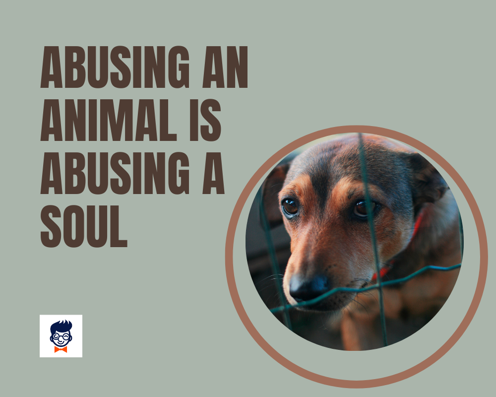 714+ Great Animal Abuse Slogans (generator + Guide) - Thebrandboy.com