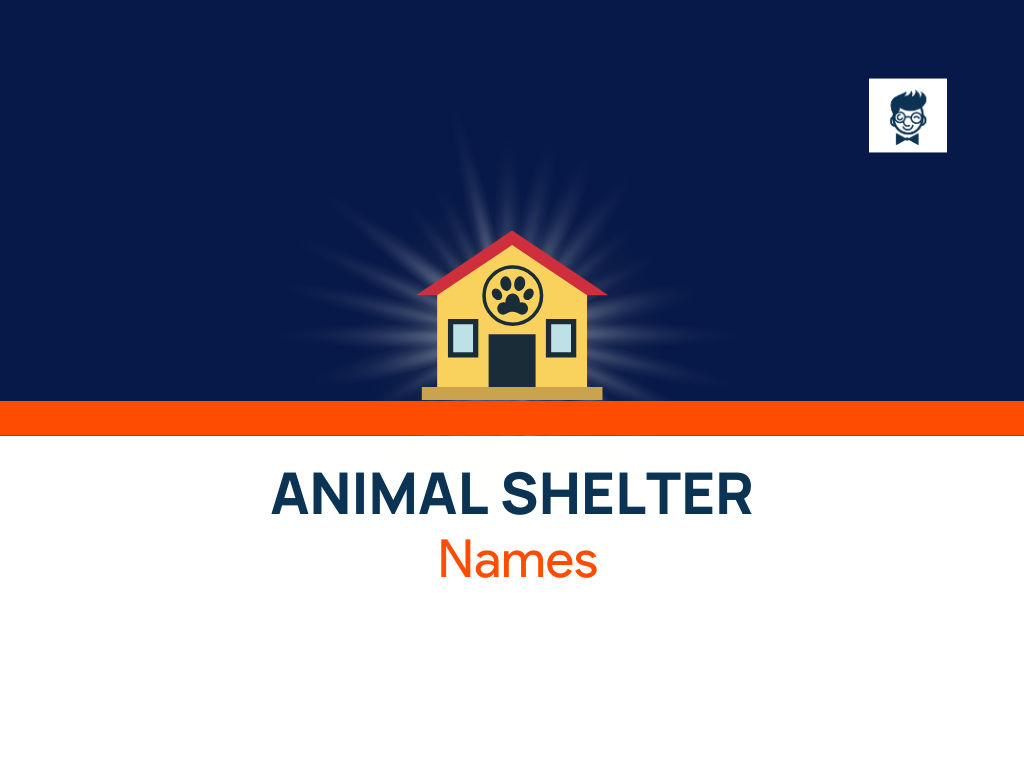 356+ Animal Shelter Names That Speak of Love and Care! - BrandBoy