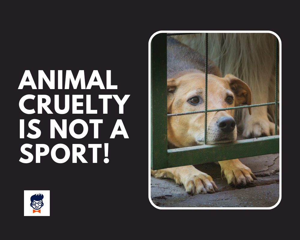 714+ Great Animal Abuse Slogans (generator + Guide) - Thebrandboy.com