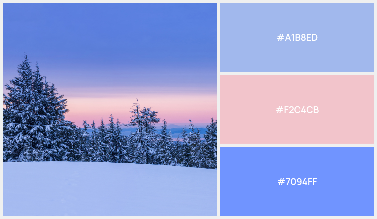 30+ Winter Color Palettes To Elevate Your Designs