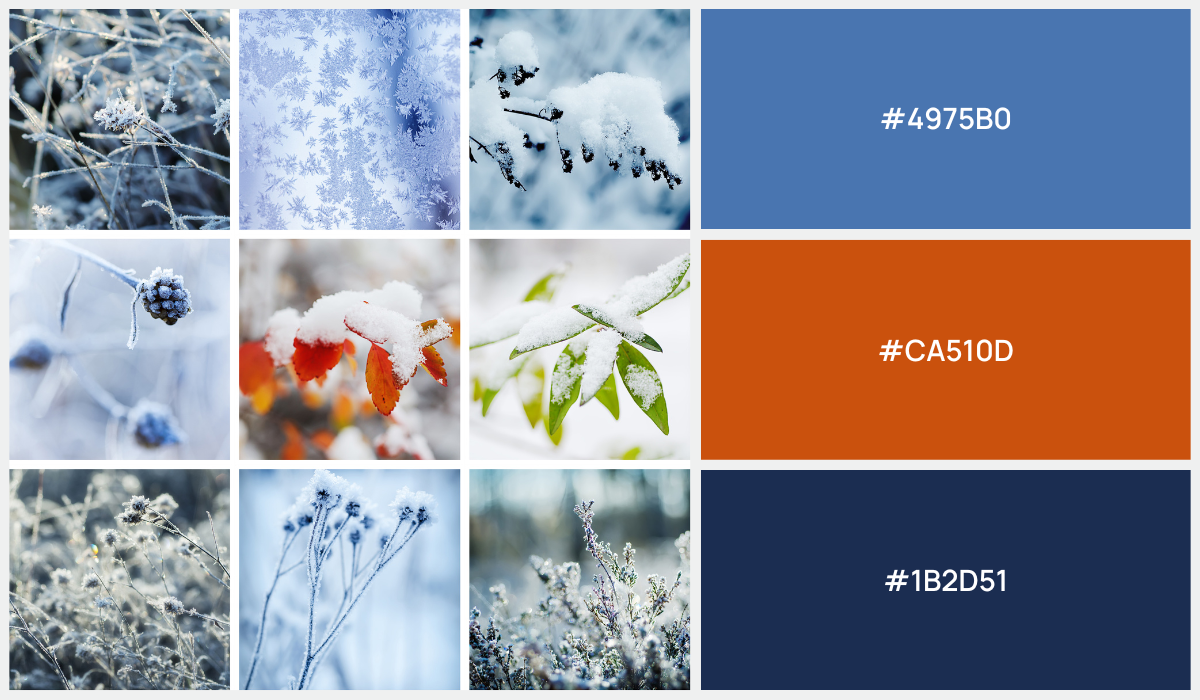 30+ Winter Color Palettes To Elevate Your Designs