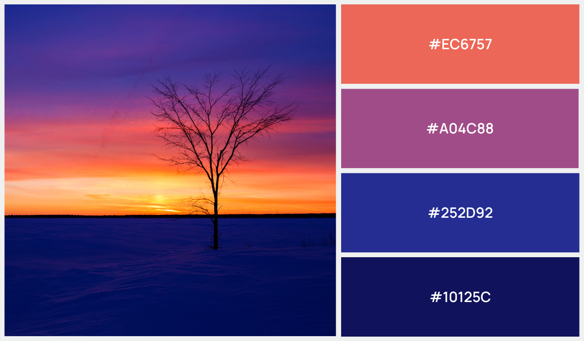 30+ Winter Color Palettes To Elevate Your Designs