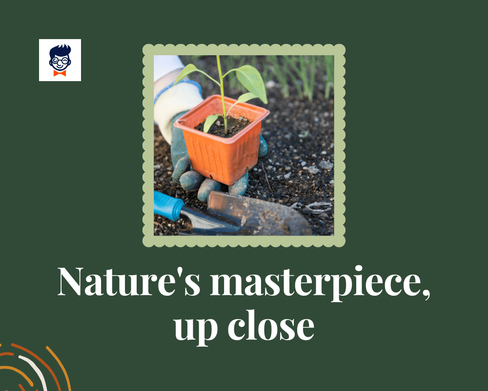 874+ Best Gardening Slogans And Phrases (Generator + Guide ...