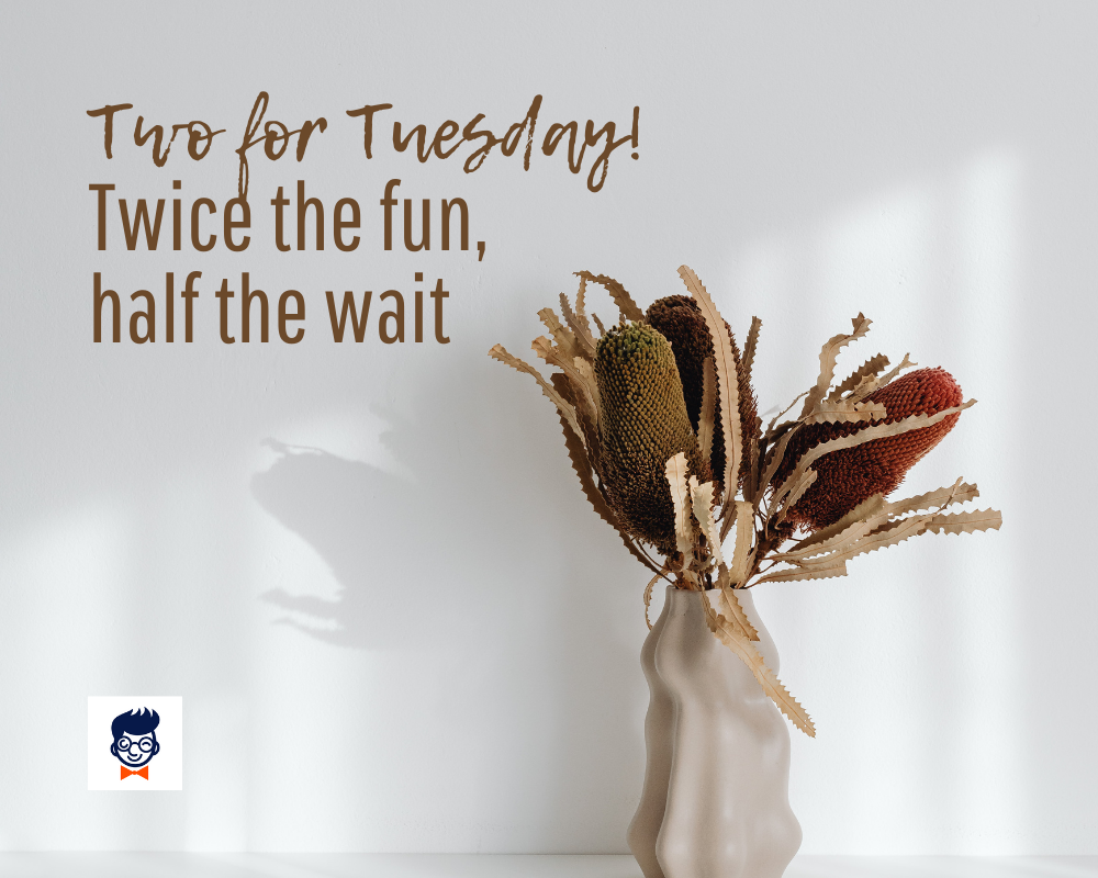 871+ Brilliant Tuesday Slogans - Thebrandboy.com