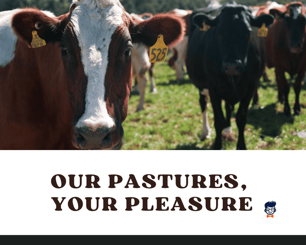 781+ Catchy Dairy Slogans And taglines (Geneartor + Guide) - BrandBoy