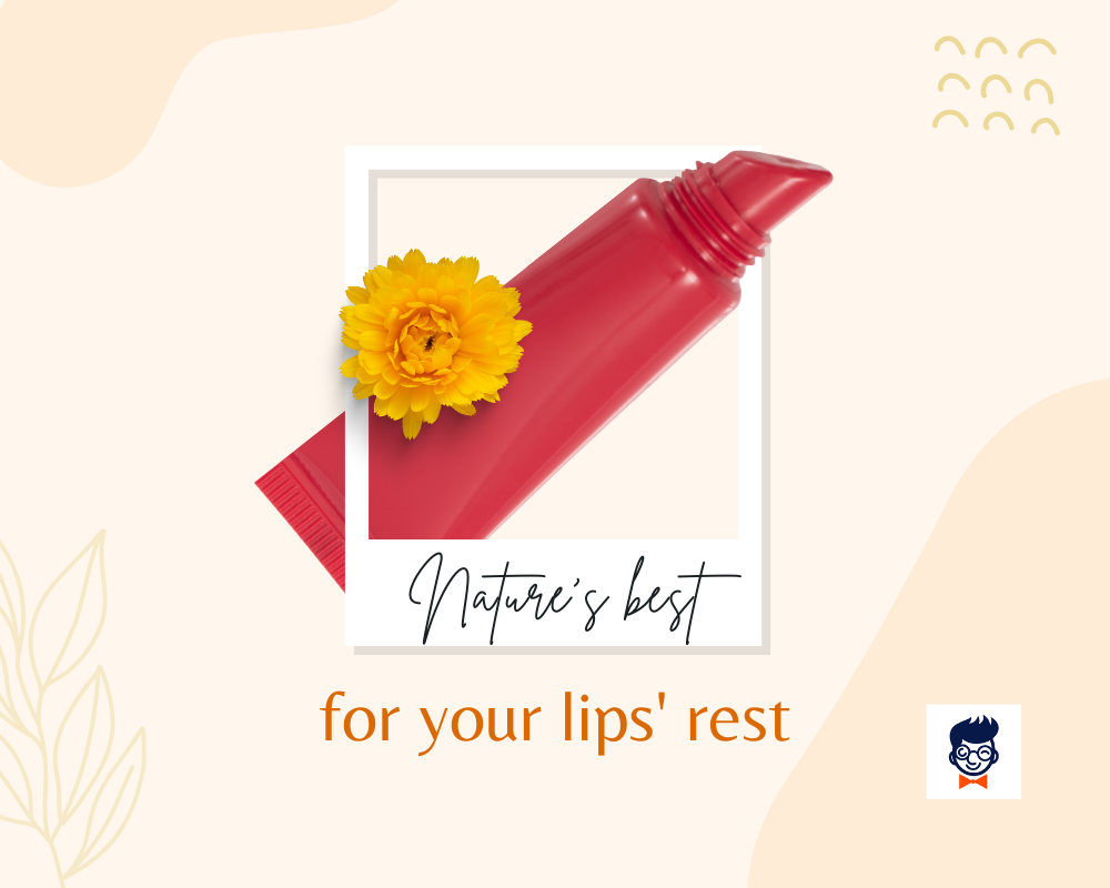 781+ Creative Lip Balm Slogans to Make Your Brand Shine! - thebrandboy.com