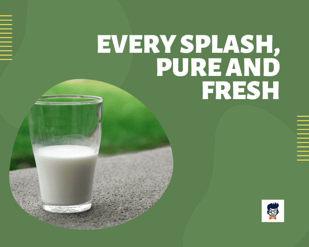 781+ Catchy Dairy Slogans And taglines (Geneartor + Guide) - BrandBoy