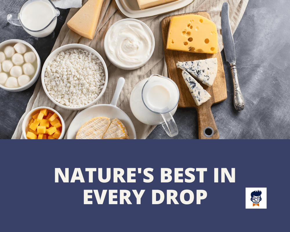 781+ Catchy Dairy Slogans And taglines (Geneartor + Guide) - BrandBoy