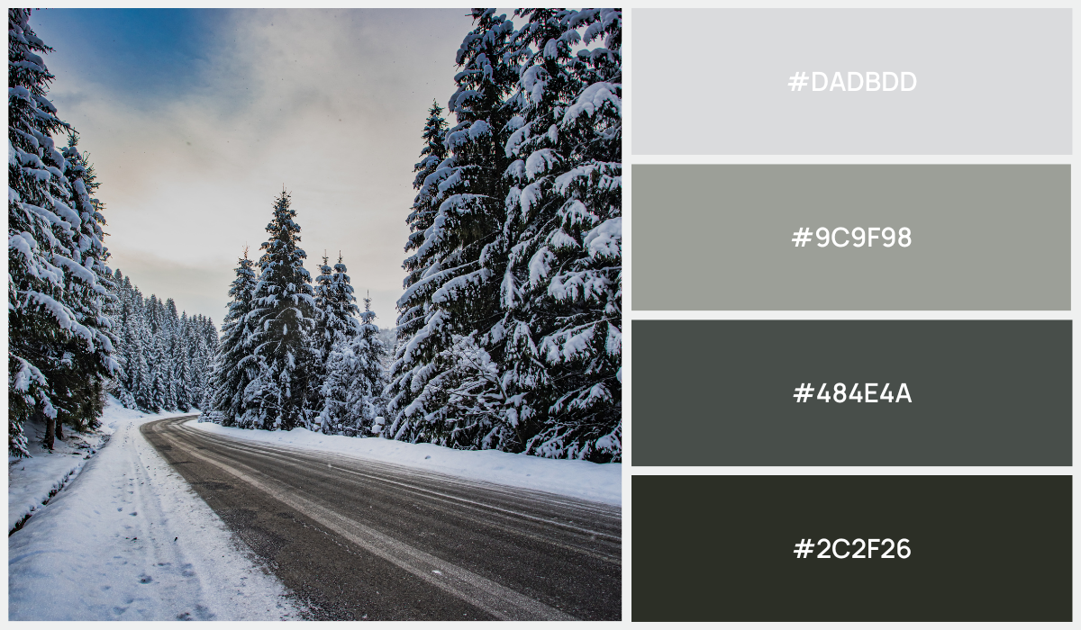30+ Winter Color Palettes To Elevate Your Designs