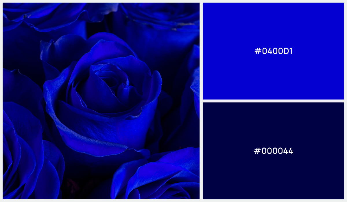 100+ Blue Color Palettes To Elevate Your Designs - BrandBoy