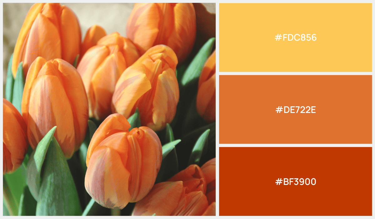 30+ Orange Color Palettes For Logo Design (Don't Miss Out) - BrandBoy
